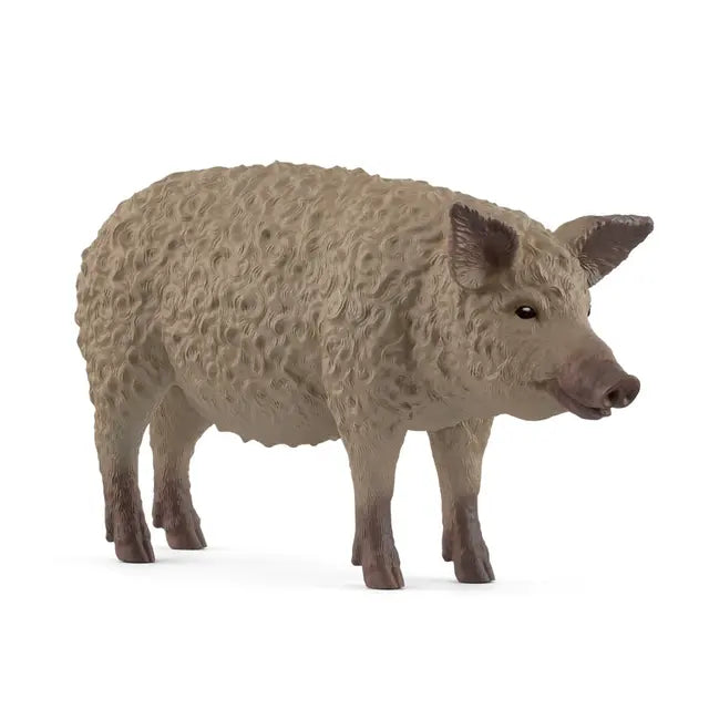 Mangalica Pig – Little Pickles Store